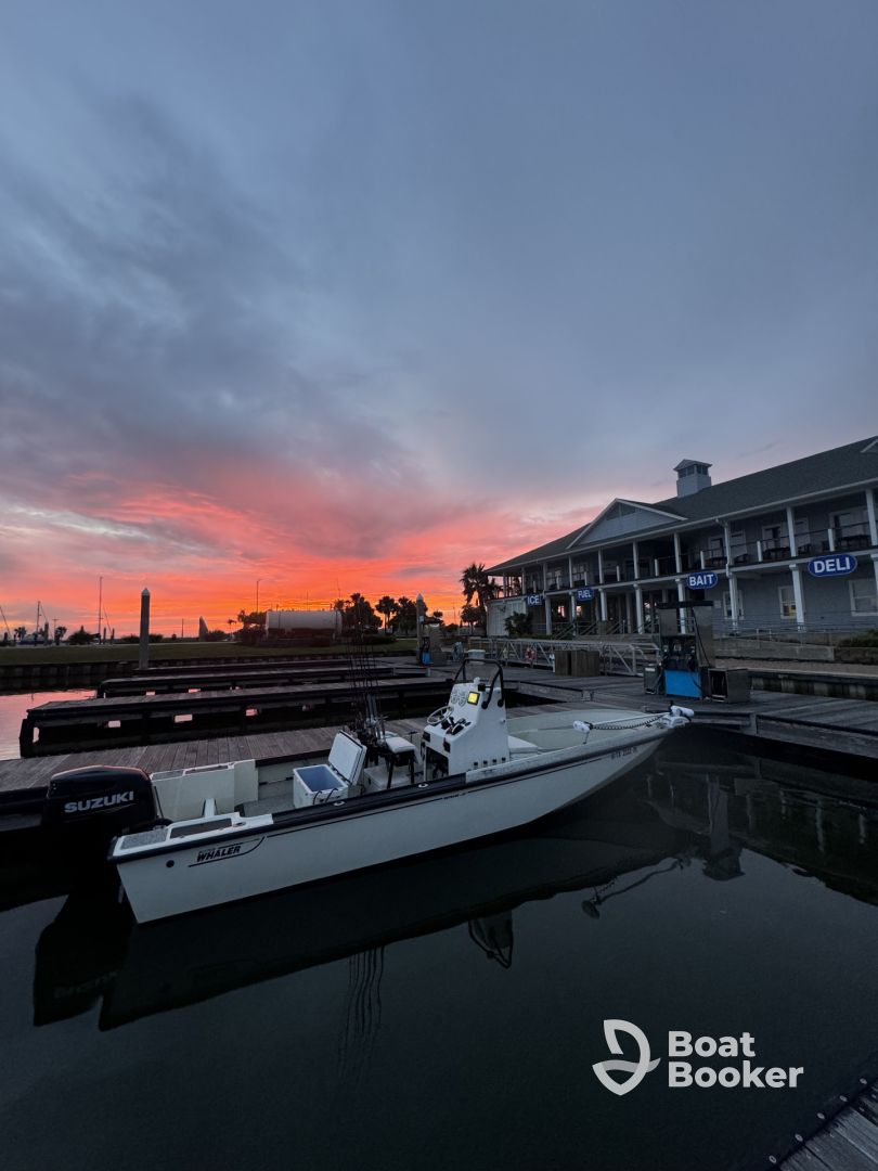 2 Reel Charters & Tours - Updated 2026 Prices