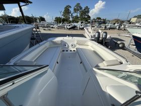 Sunny Bay Cruise & Charter - Updated 2026 Prices