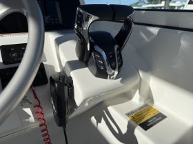 Sunny Bay Cruise & Charter - Updated 2026 Prices