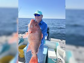 Reef Wrecker Fishing Charters - Updated 2026 Prices